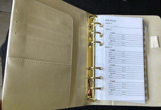 Metallic Ivory 1.5-inch, 6-ring mini binder